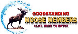 New Home – The Moose